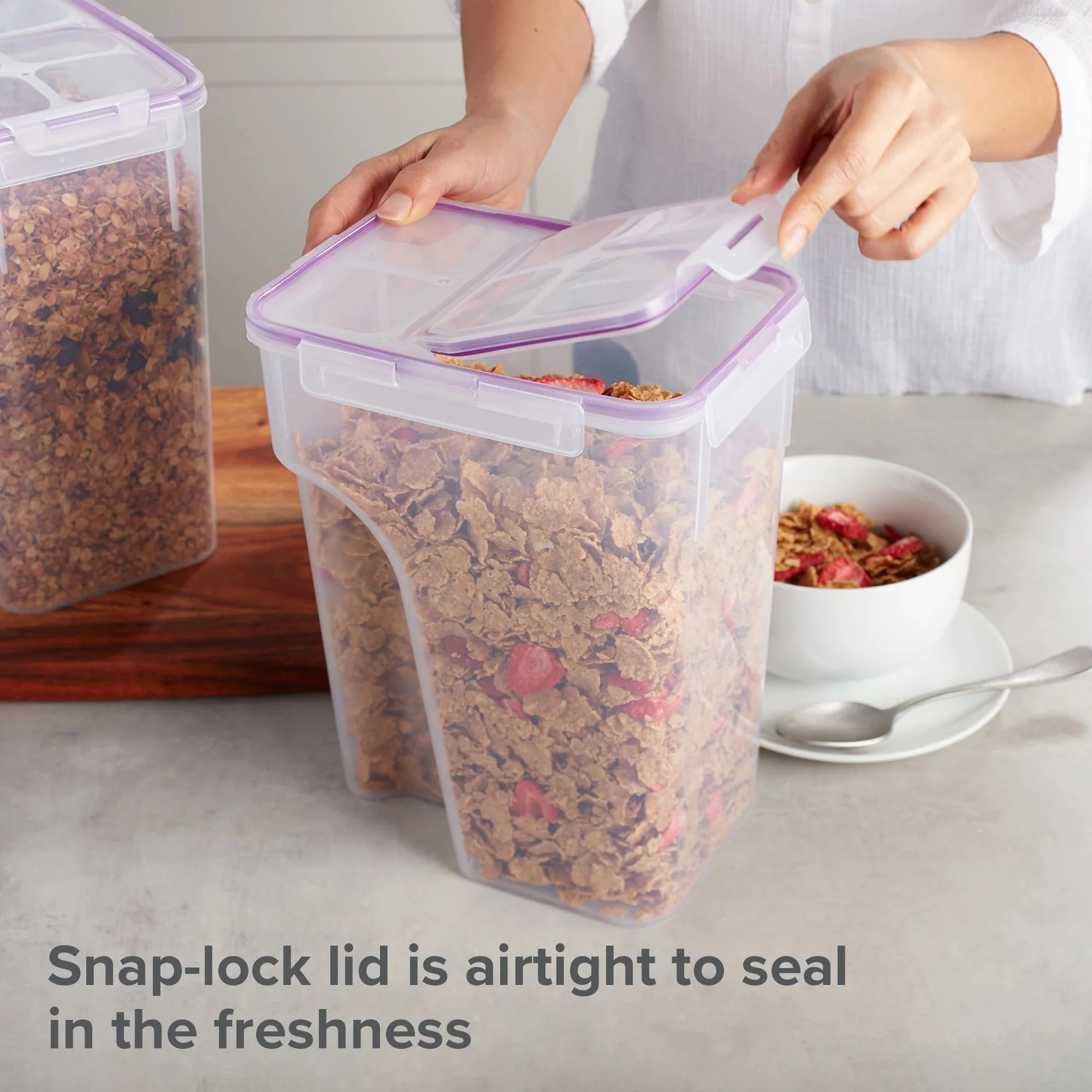 Snapware® Airtight 22.8-cup Plastic Food Storage Container, 2-pack ...